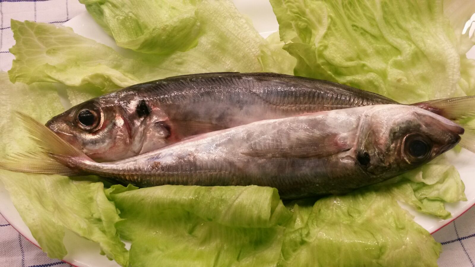 JUREL AL VAPOR CON VERDURITAS – Poquito a Poquito